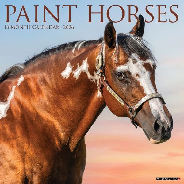 Paint Horses 2026 Wall Calendar - Michaelsbund