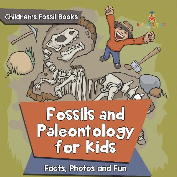 Fossils and Paleontology for kids - Michaelsbund
